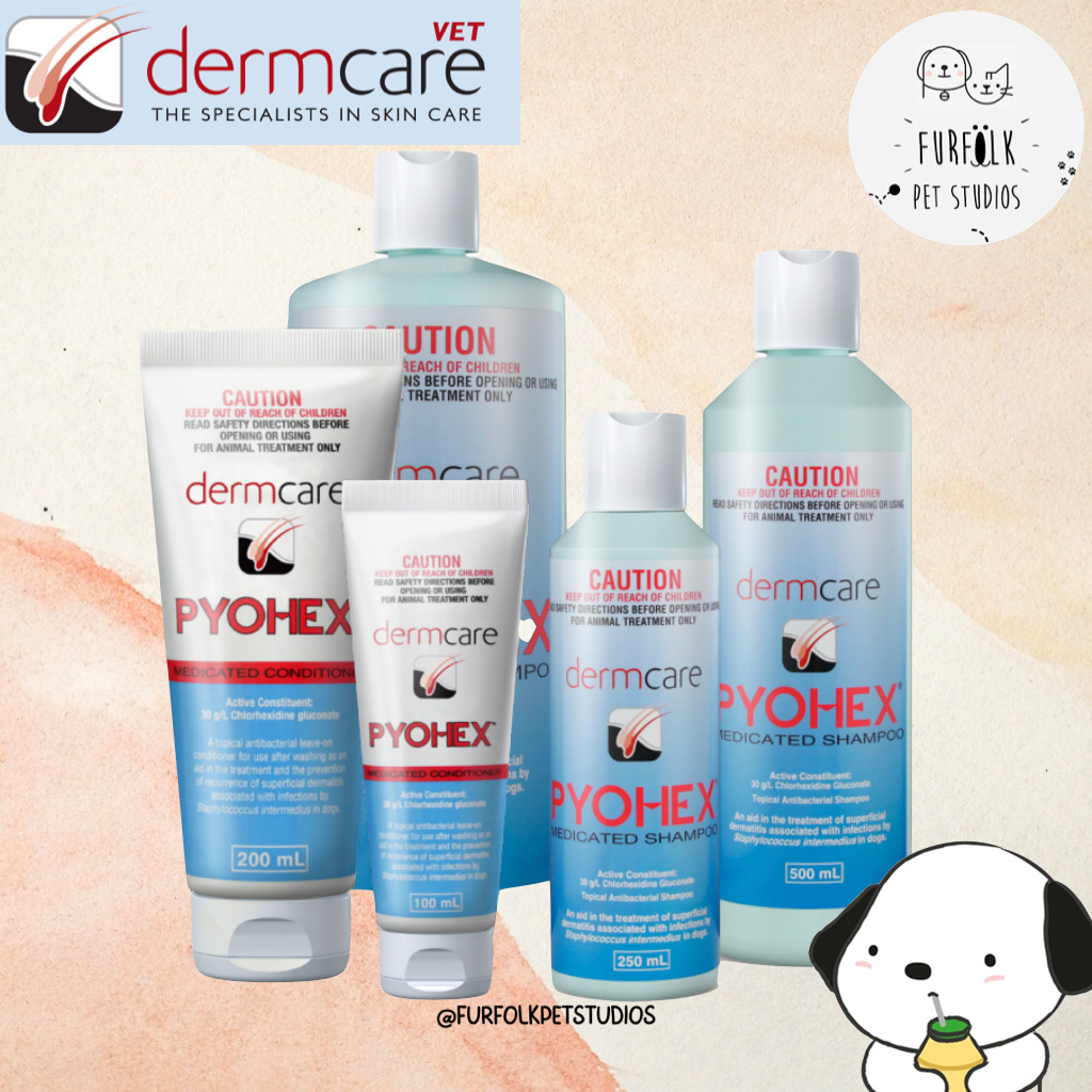 DERMCARE PYOHEX Medicated Shampoo ʕ•́ᴥ•̀ʔ 250ml / 500ml, Conditioner ...