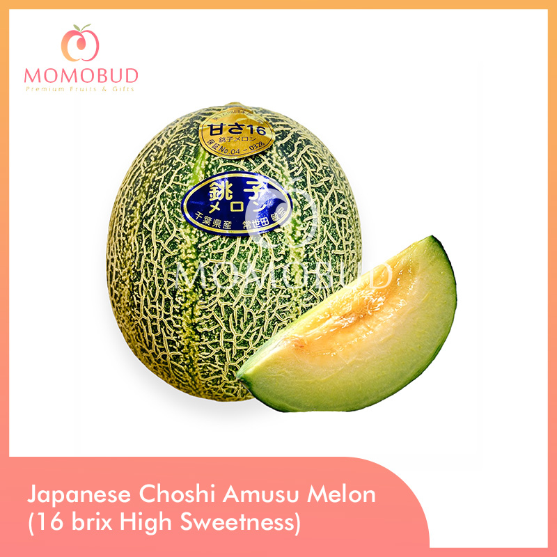 Japanese Choshi Amusu Melon (16 brix High Sweetness) | Shopee Singapore