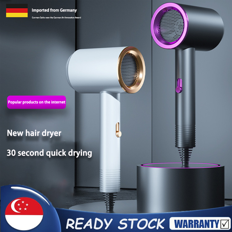 SG [READY STOCK] Good Looks Net Red Hair Dryer 4 in 1 Anion Hair Dryer ...