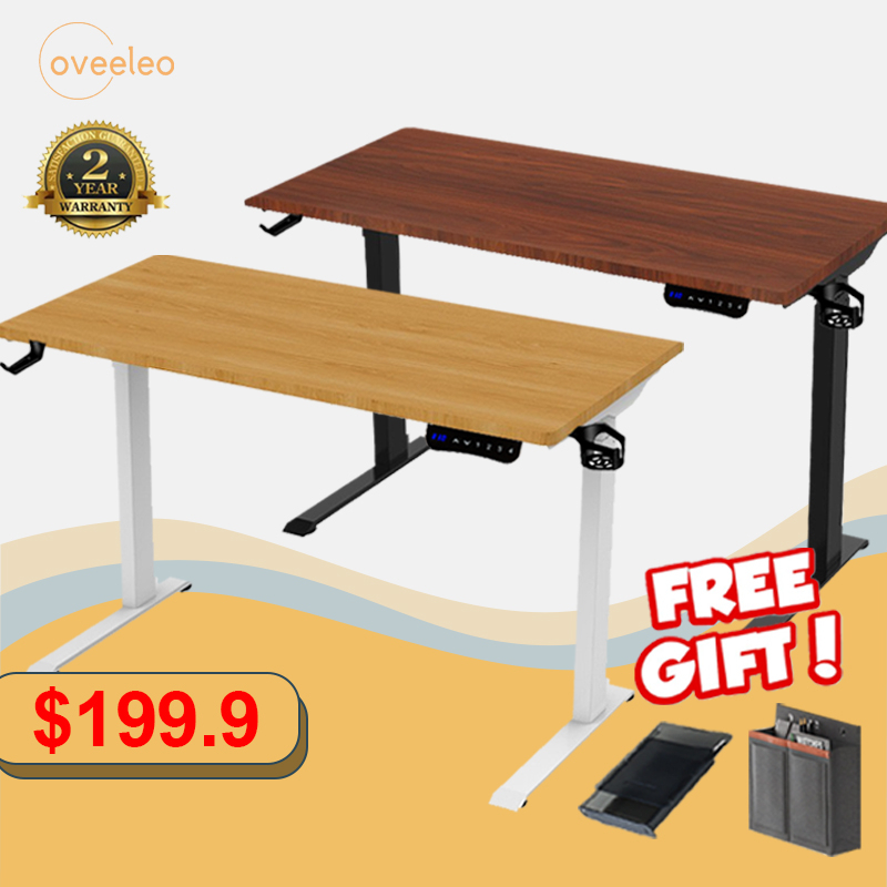 SG Stock Electric Height Adjustable Desk Ergonomic Standing Desk 4 ...