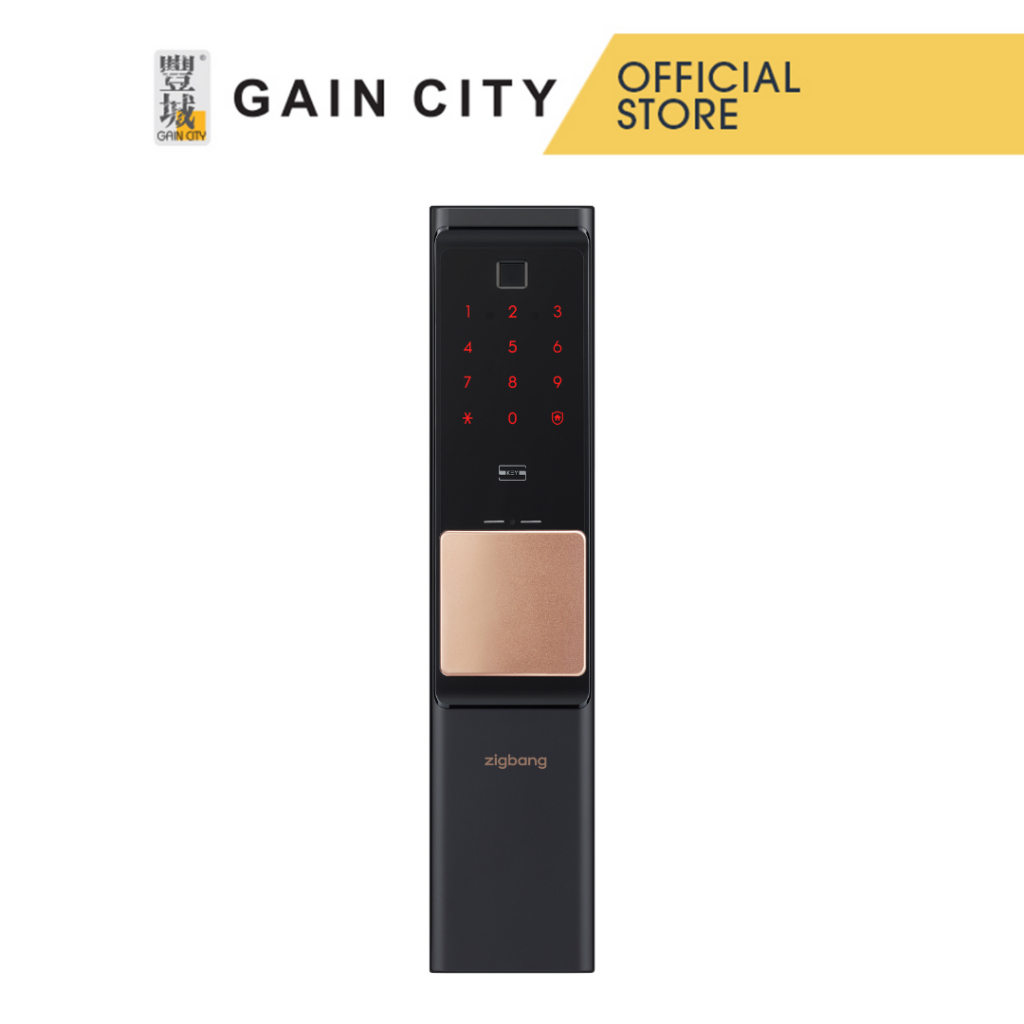 Zigbang Shp-r80 Digital Lock (gold) | Shopee Singapore