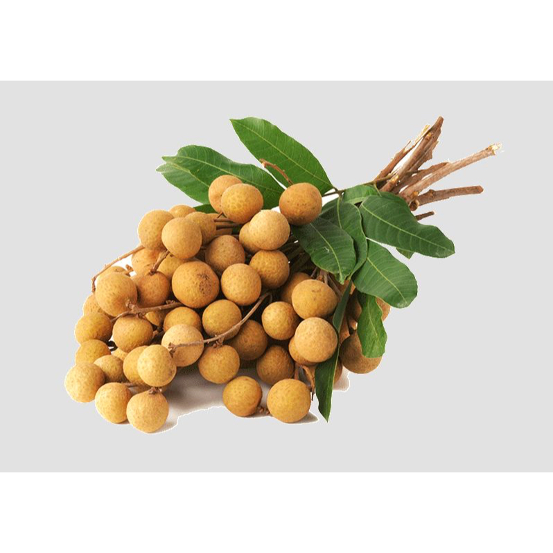 THAILAND Super Thai Longan 500g/box | Shopee Singapore