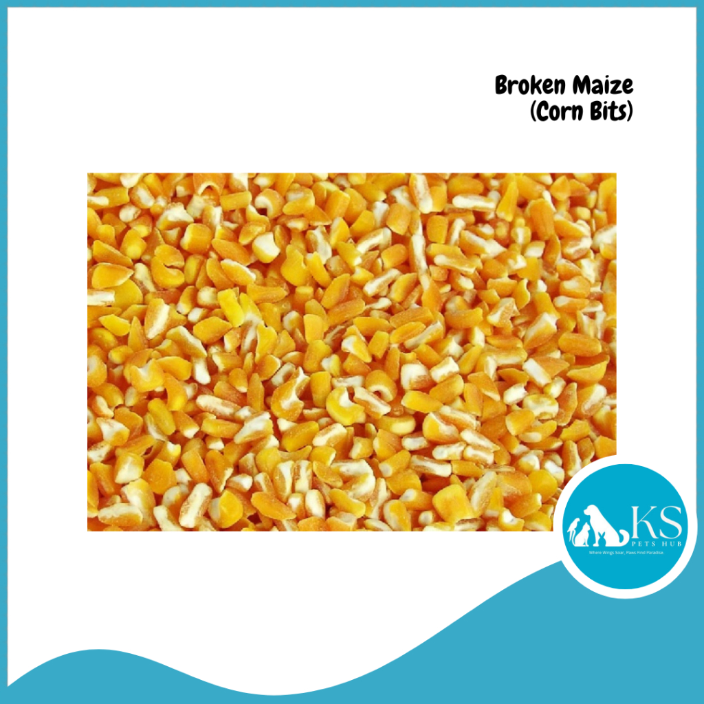 KSPH Broken Maize (Corn Bits) 800g Bird Feed Food Diet | Shopee Singapore