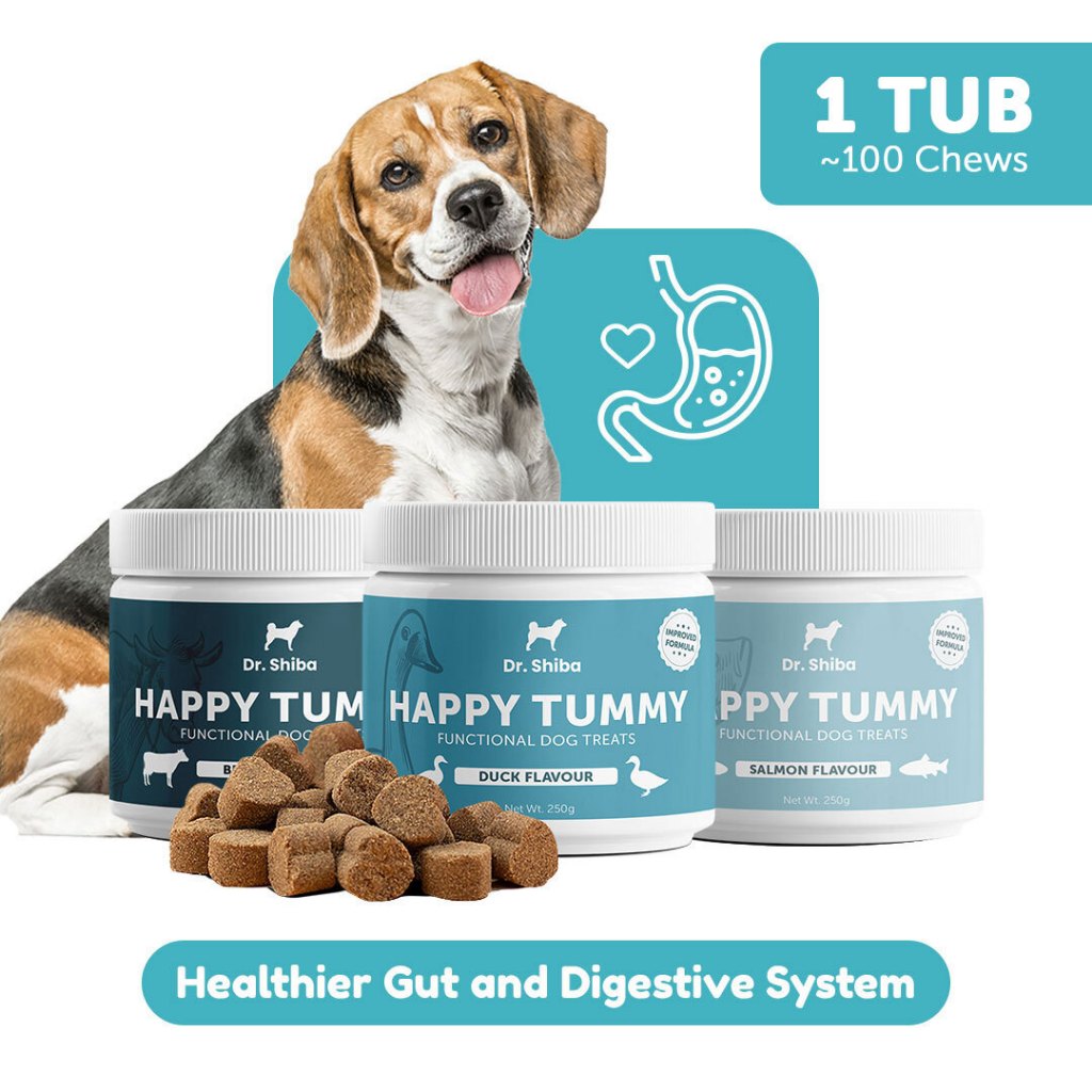 Dr Shiba Happy Tummy Healthy Dog Treats Snack - Dog Multivitamins - Dog ...