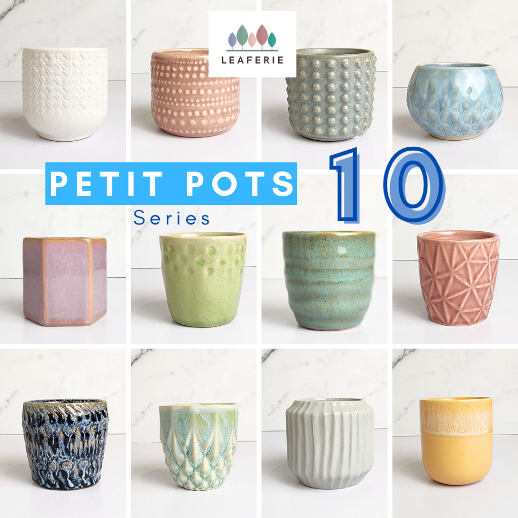 The Leaferie Petit Pots (Series 10) small mini plant pots flowerpot ...
