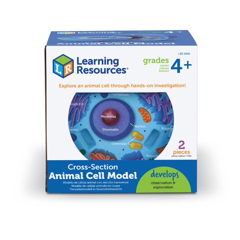 Learning Resources LER1900 Cross-Section Animal Cell Model Hands On Exploration Science Model ...