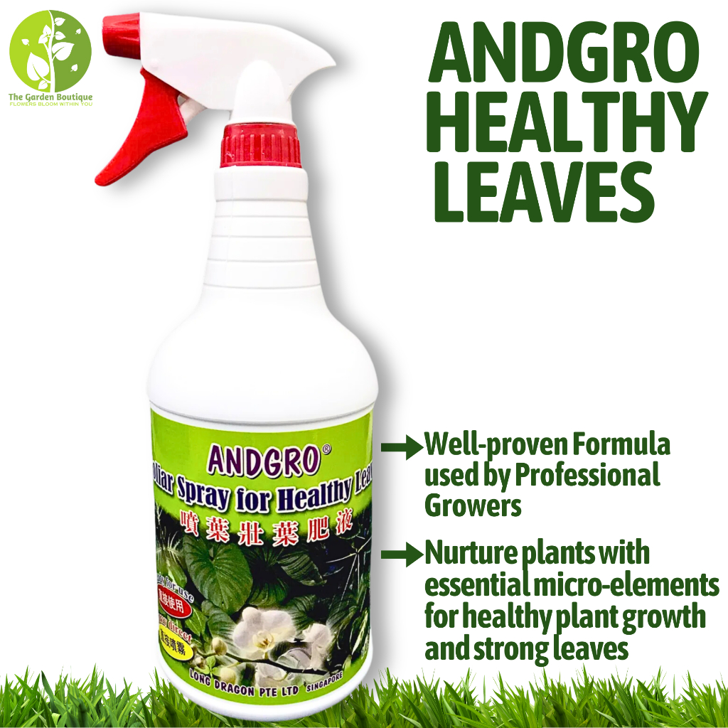 [Local Seller] ANDGRO Foliar Spray for Healthy Leaves & Plants/Ready to ...