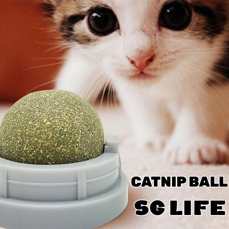 【SG Stock】Pet Catnip Cat Mint Ball Lick Sticky Rotary Cleaning Therapy ...