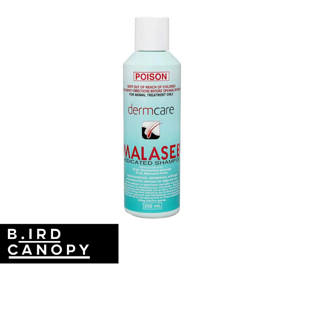 DermaCare Malaseb Medicated Shampoo for Dogs Pets 250ML Skin Infection ...