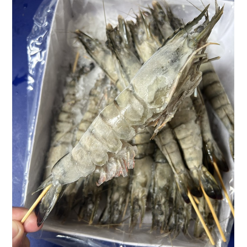 [Leader Food] Vietnam Wild Caught Black-Tiger Prawn Skewer (越南野生黑虎虾串串) - 13-15 Piece/Kg | Shopee ...
