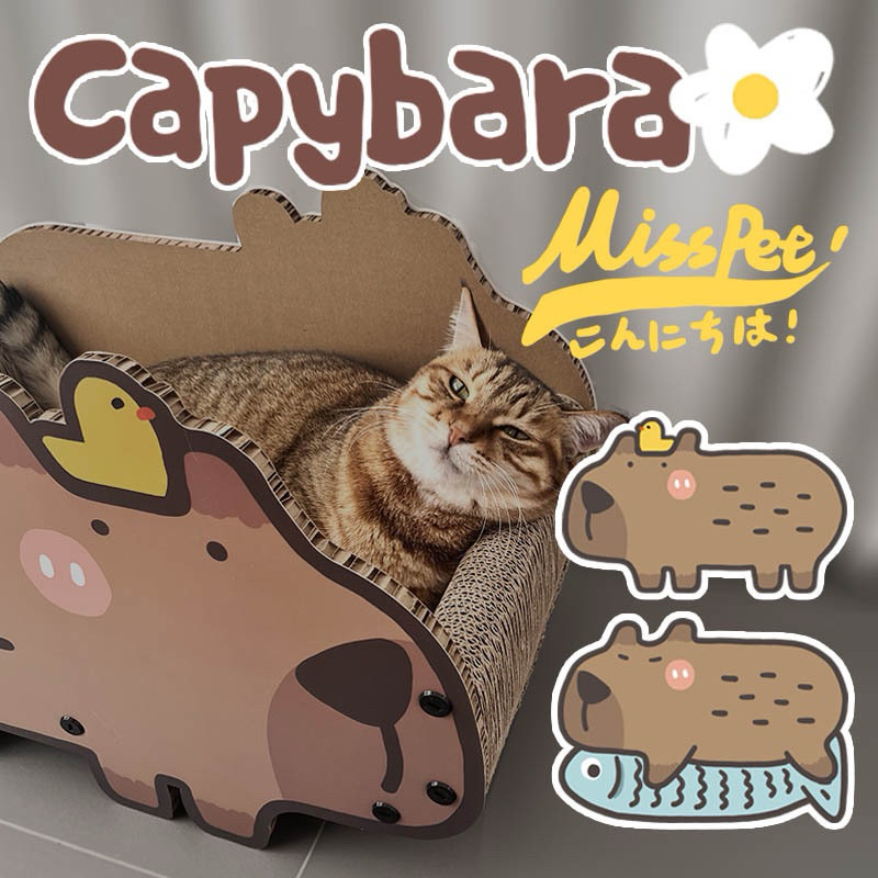 Misspet Capybara Cat Scratcher House Bed Cardboard Cat Condo Pet Toy ...
