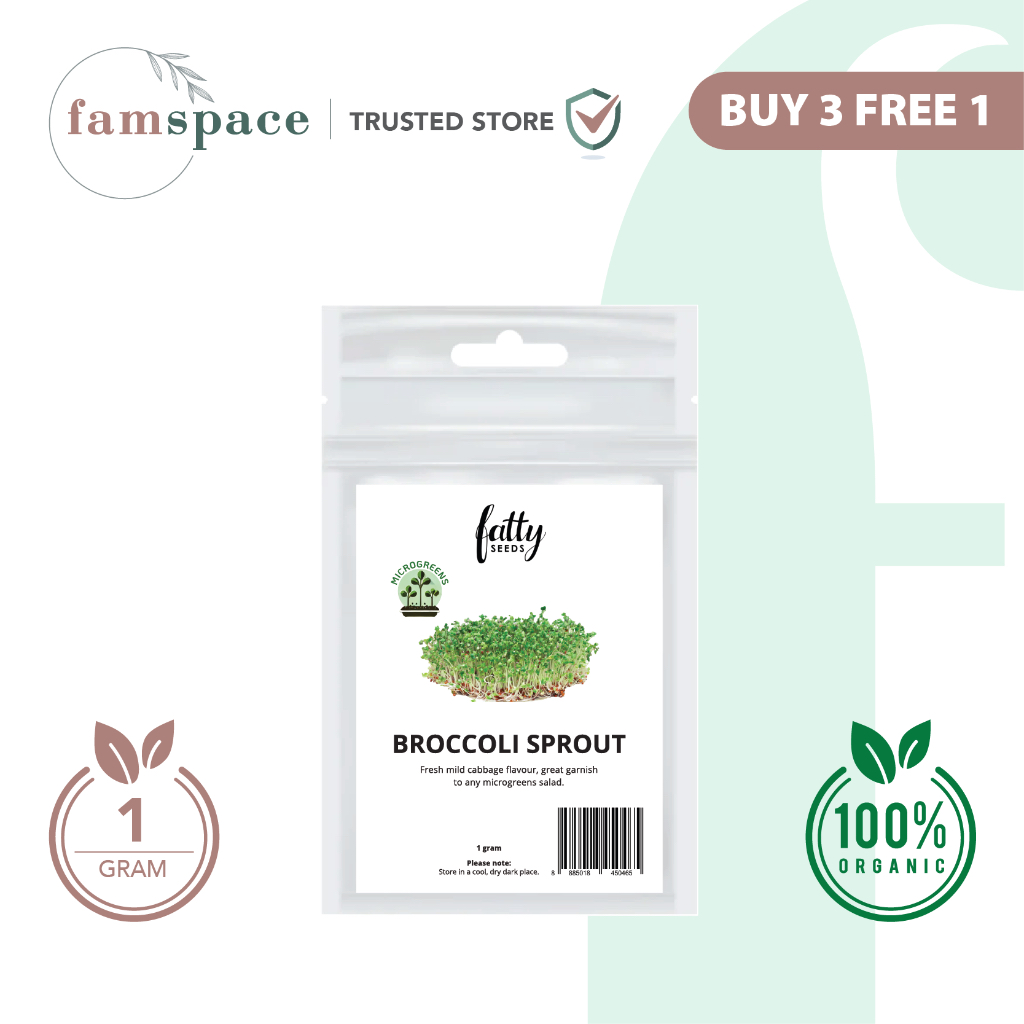 [Buy 3 Get 1 Free] Fatty Seeds Broccoli Sprout (Micro-Green) | Shopee ...