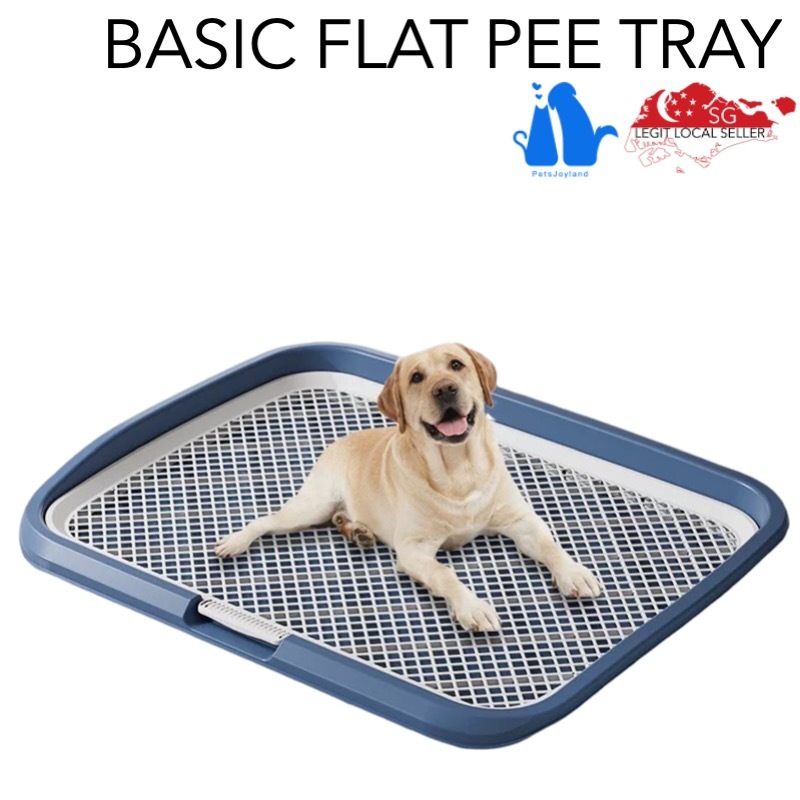 [Basic Pee Tray] Dog Pee Tray Puppy Puppies Toilet Training Pee Pad ...