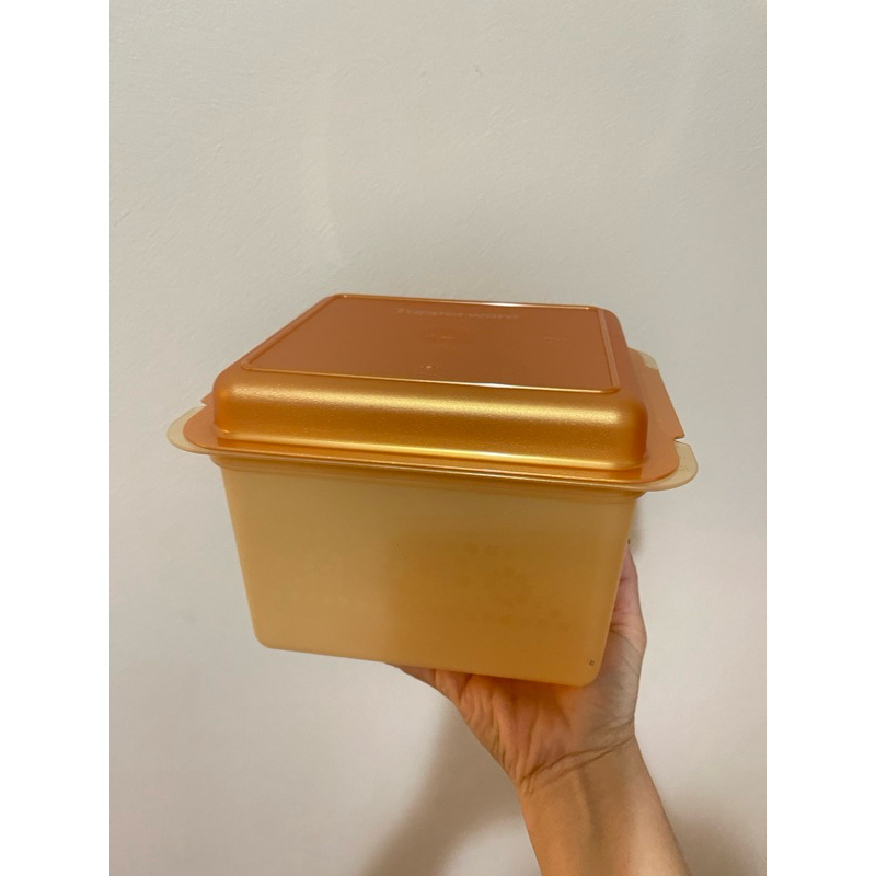 tupperware bread server gold - for half loaf of bread | Shopee Singapore