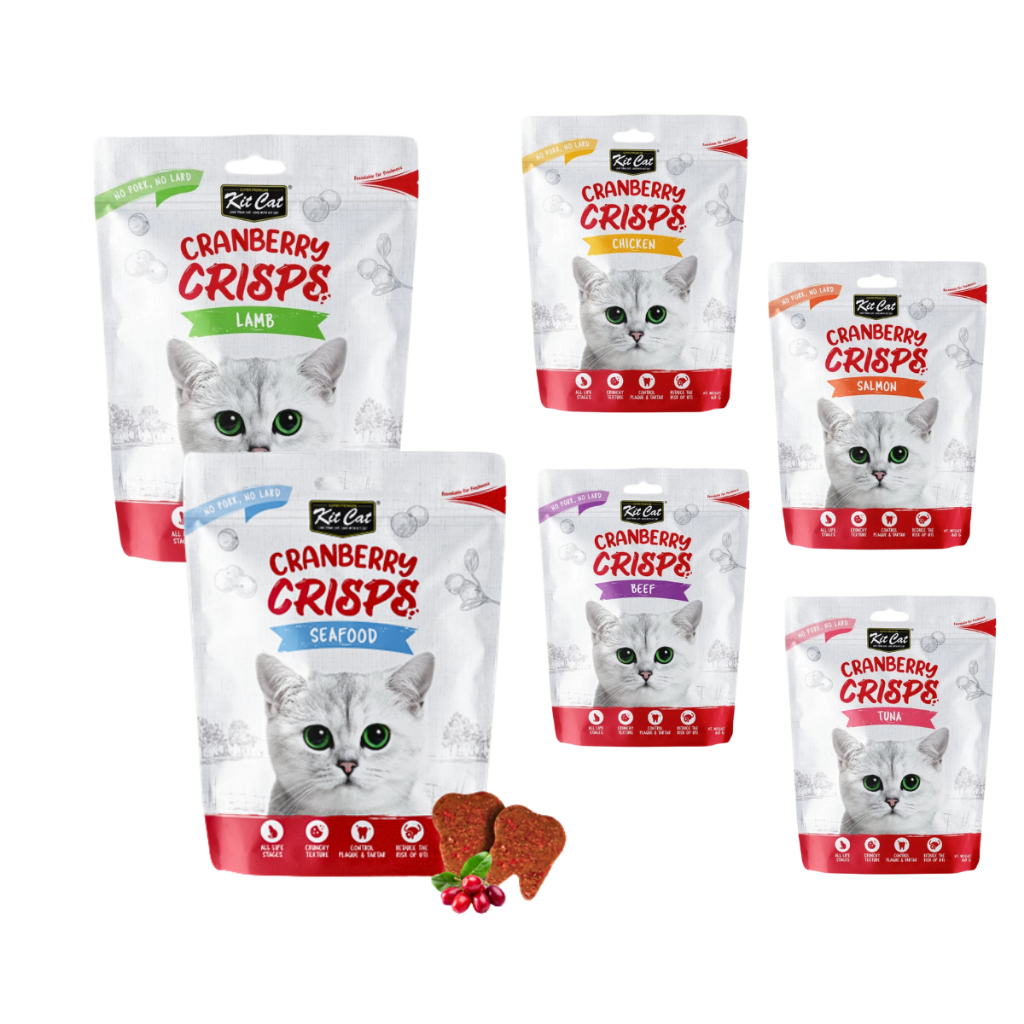 Kit Cat Cranberry Crisps 60g - Upsize, Unique Shape, Crunchy Texture ...