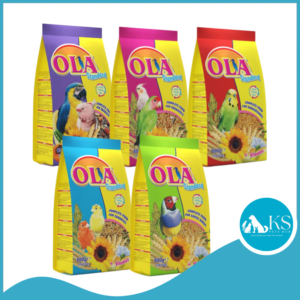 OLA Standard Complete Bird Feed 1kg - Finch Canary Budgie Lovebird ...