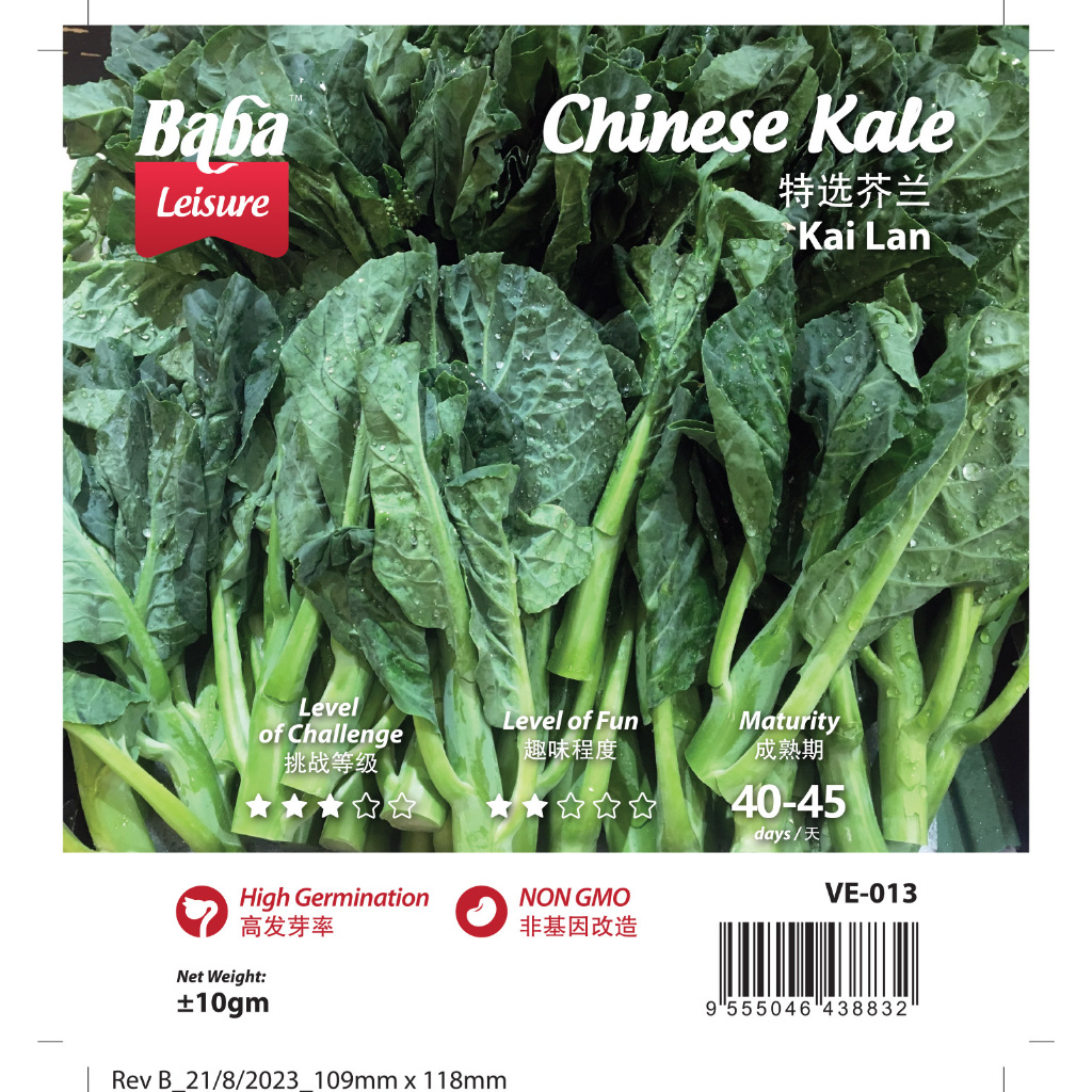 SEEDS: VE-013 CHINESE KALE Kai Lan Vegetales Seeds | Shopee Singapore