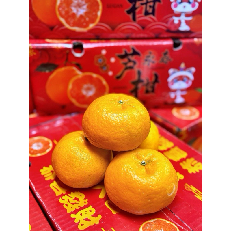 [IN STOCK] 4KG Yong Chun Lukan CNY Mandarin Orange [ M / L / XL ] 永春芦柑 ...