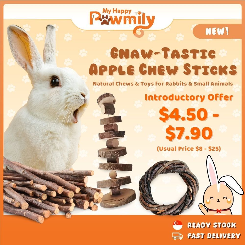 SG Fast Delivery | Gnaw-tastic Apple Chew Sticks & Toys - Natural Gnaw ...