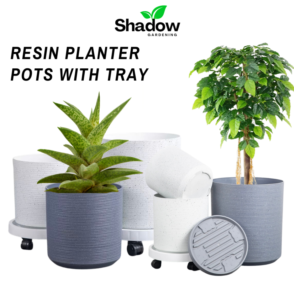 SG_SHADOW | Resin Planter Pot with Tray Large Pot for Indoor Outdoor ...