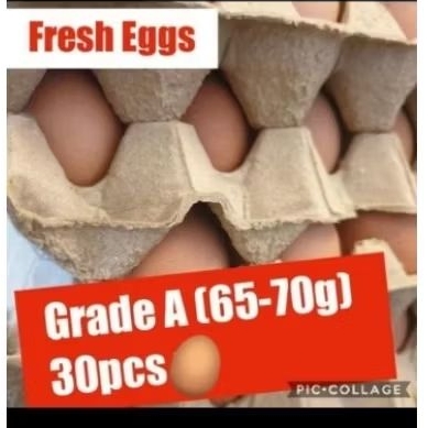 Fresh Eggs 30pcs x1 tray (Grade A 65-70g) | Shopee Singapore