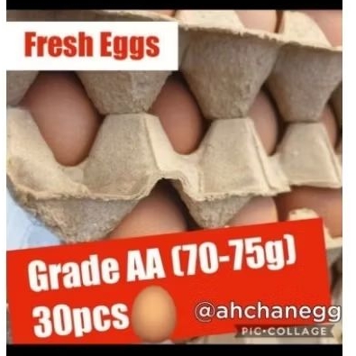 Fresh Eggs 30pcs x 1 tray (Grade AA 70-75g) | Shopee Singapore