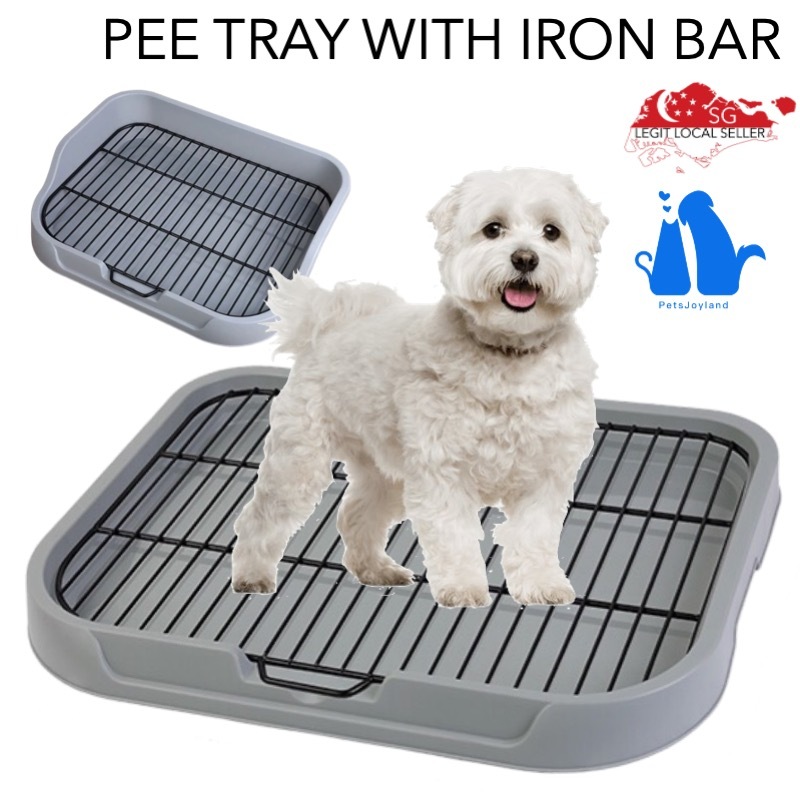 [Pee Tray w Iron Bar] Puppy Pee Tray Dog Pee Tray Toilet Training Pee ...