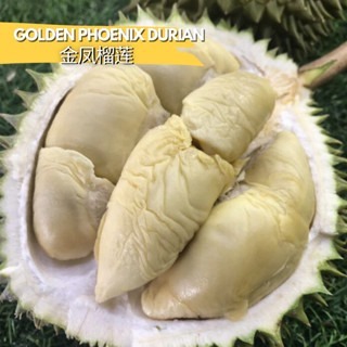CRAZY DEAL【SAME DAY DELIVERY】 FRESH Golden Phoenix Durian 400g/Box ...