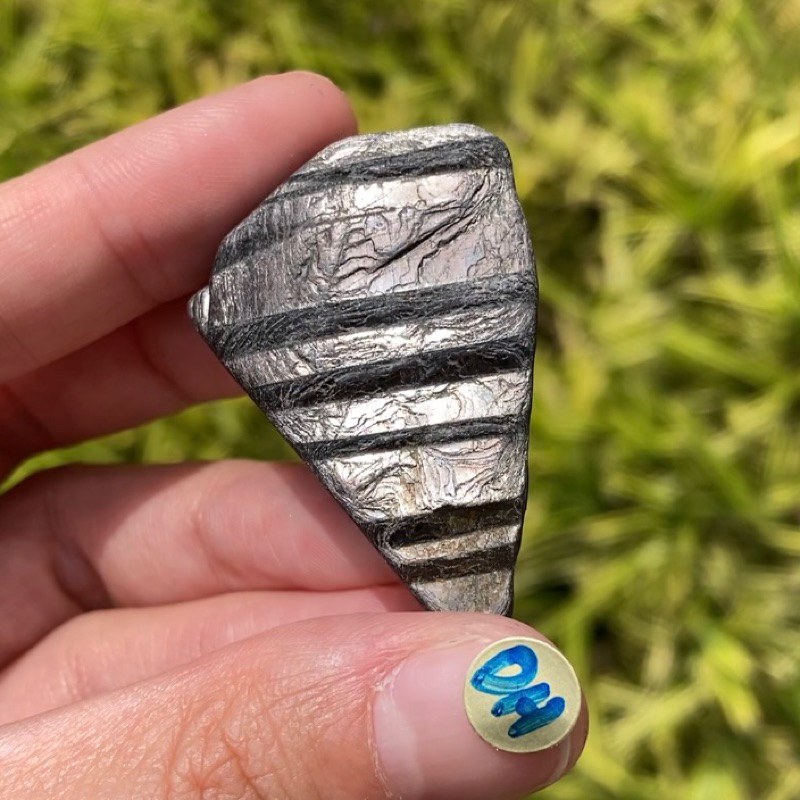 Polished Hyperstene Hypersthene big chunk / Slices (for wealth ...