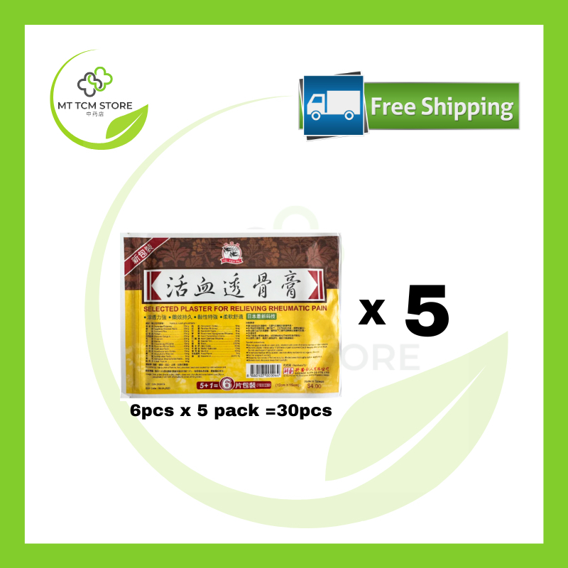 Fei Yien Pai Selected Plaster for Relieving Rheumatic Pain (Bundle of 5 ...