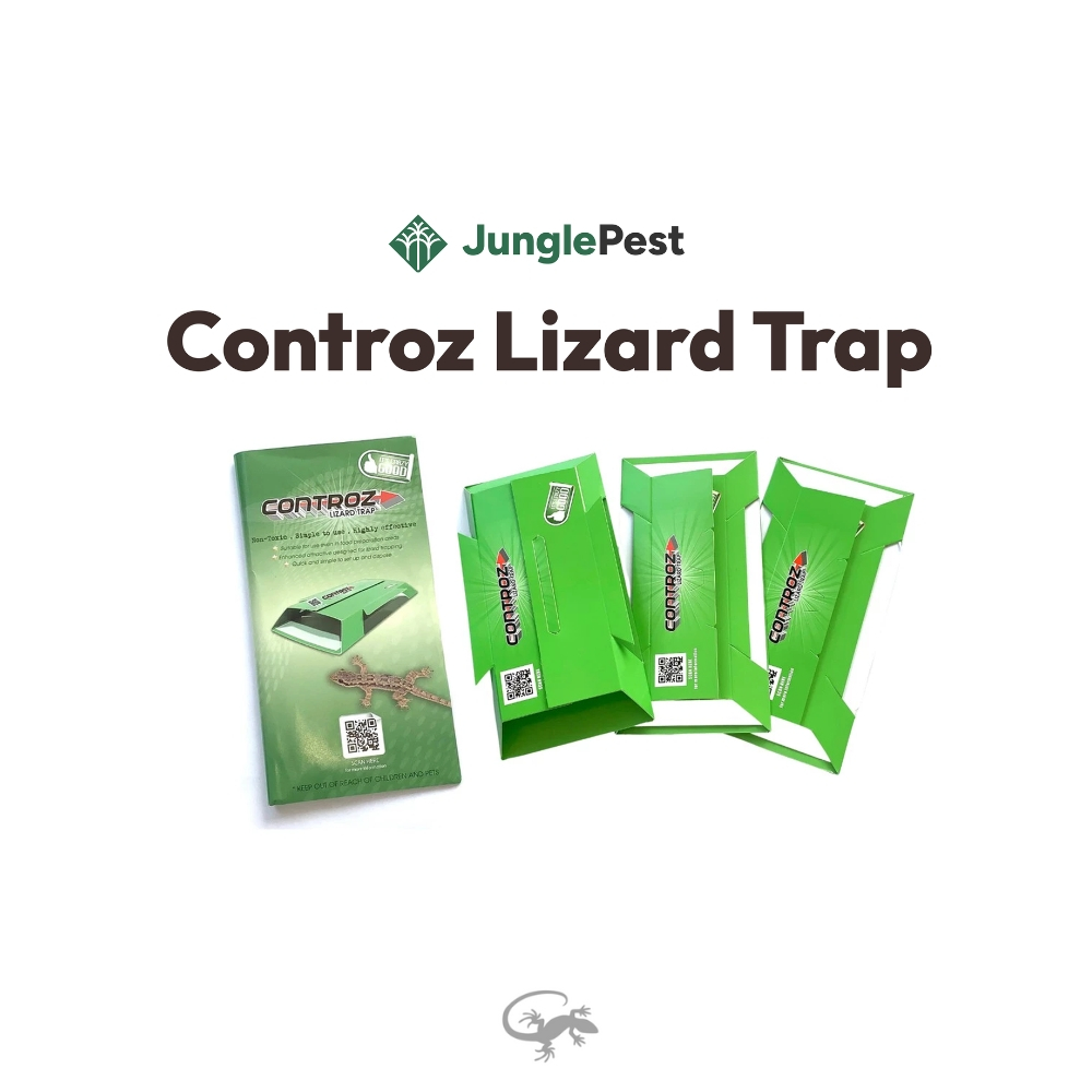Controz Lizard Glue Traps | 9 Large Sticky Traps Bundle Cicak Killer ...