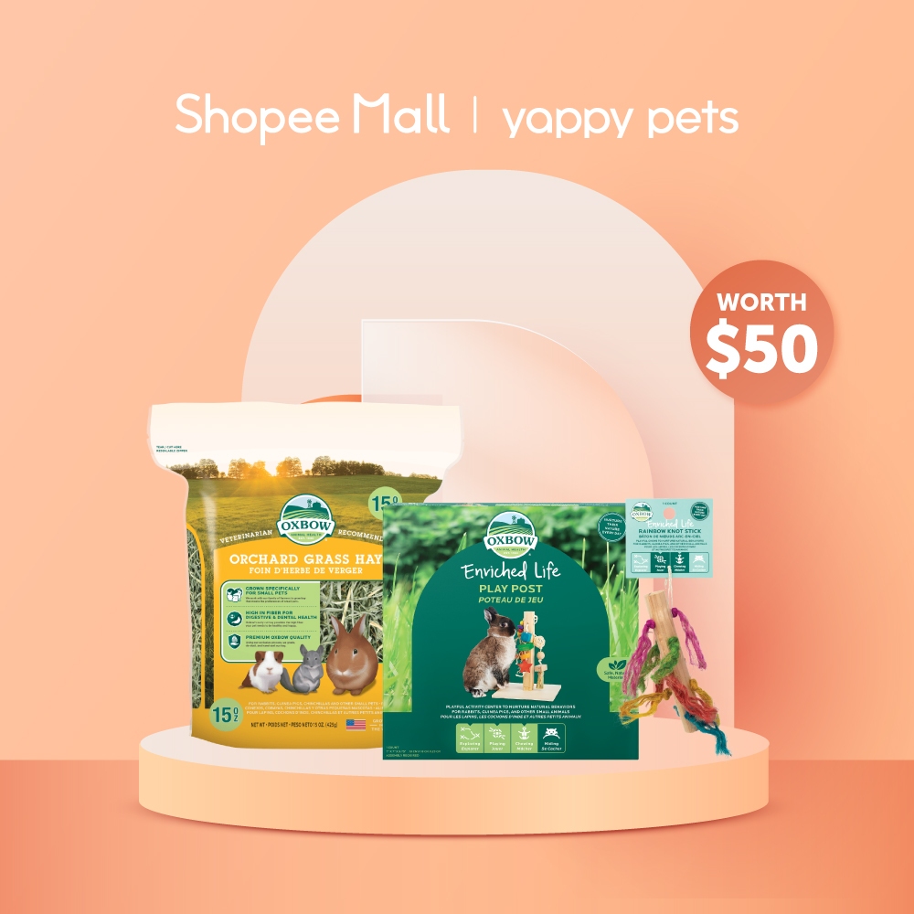 [Rabbit] Yappy Pets Brand Box B worth $50 | Shopee Singapore