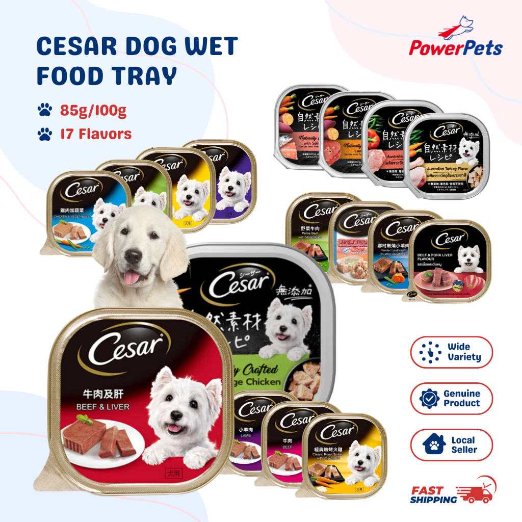 Cesar Wet Food for Dogs 85g/100g - Beef, Lamb, Chicken, Turkey, Veg ...