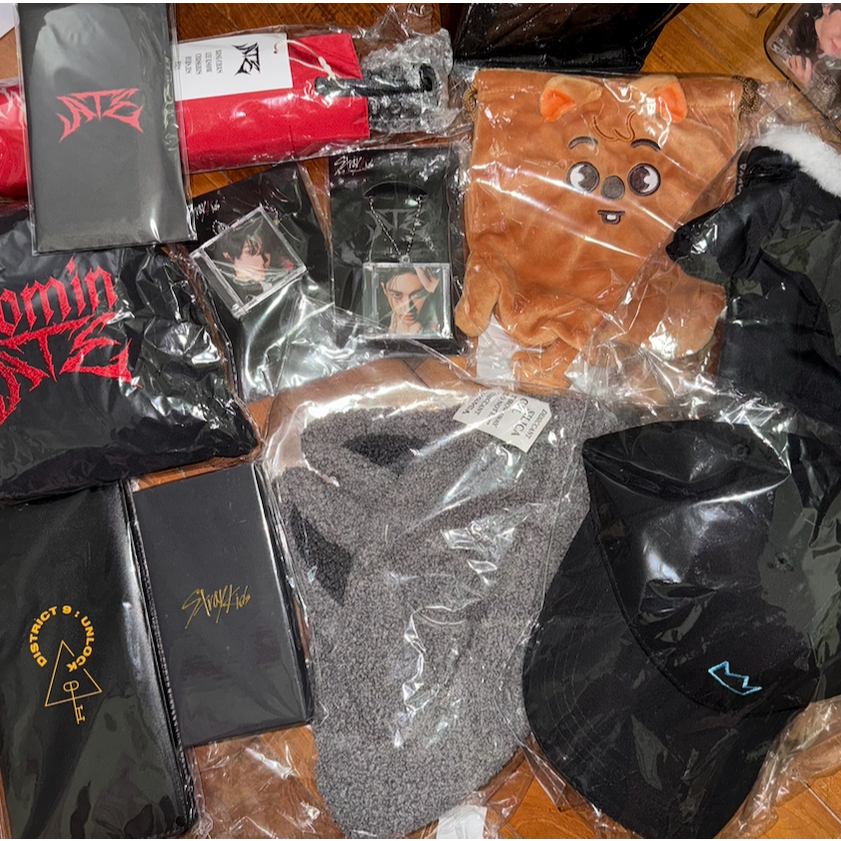 Stray Kids Japan / Korea Misc Merchandise (Ate / District 9 Unlock ...