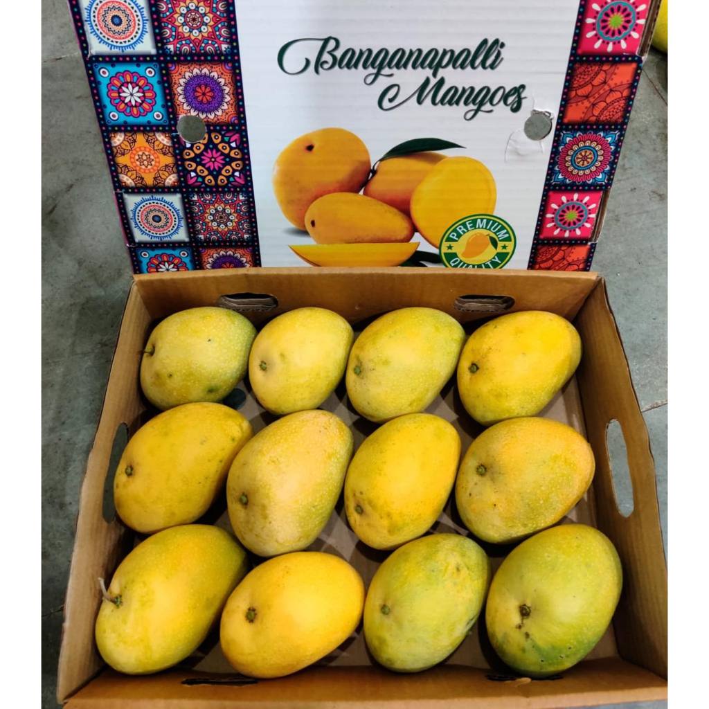 Indian Mangoes / Banginapalli Mangoes 5Kg Box ( 10-13Pcs ) | Shopee ...