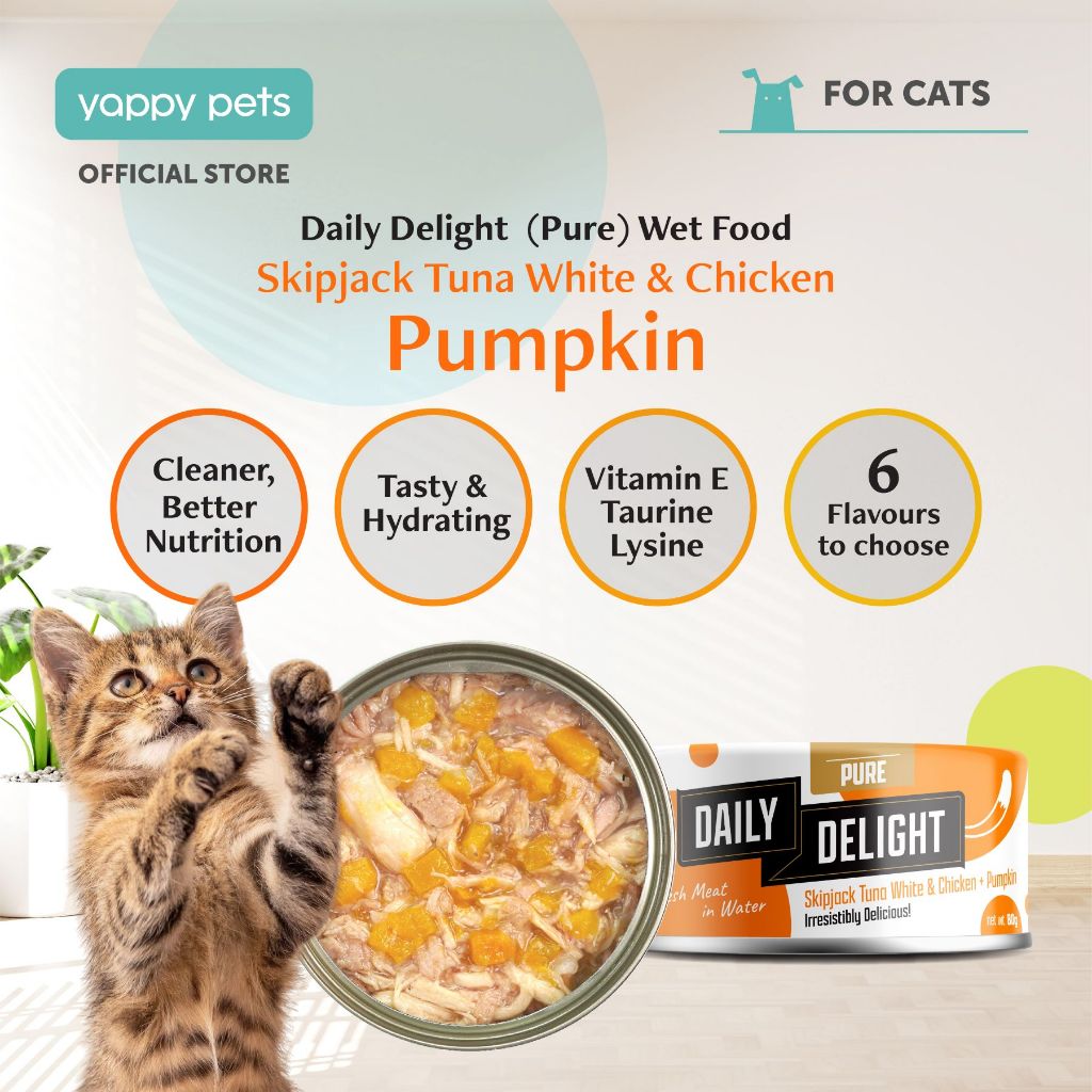 Daily Delight Pure Wet Cat food 80g | Meal Topper, Broth Meow Salmon ...