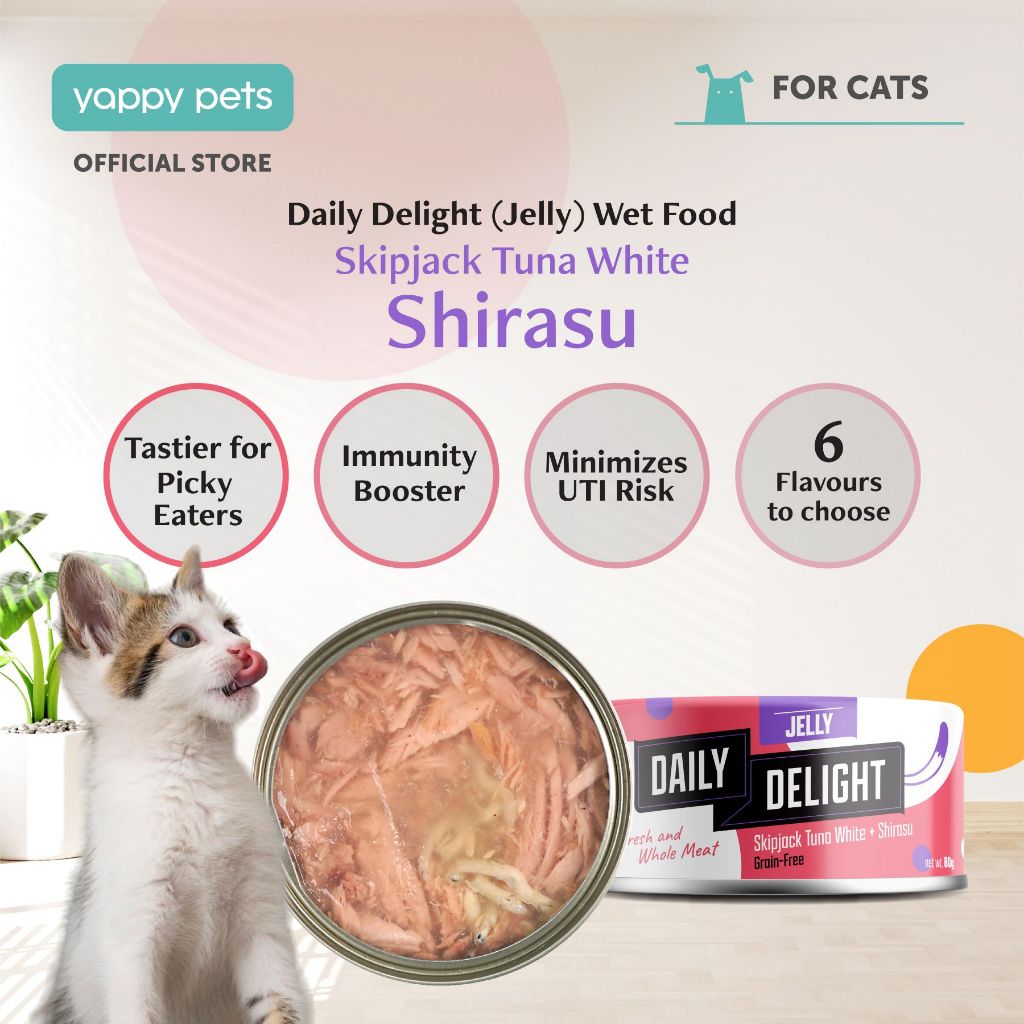 Daily Delight Jelly Skipjack Tuna Wet Cat Food 80g | Meal Topper, Meow ...