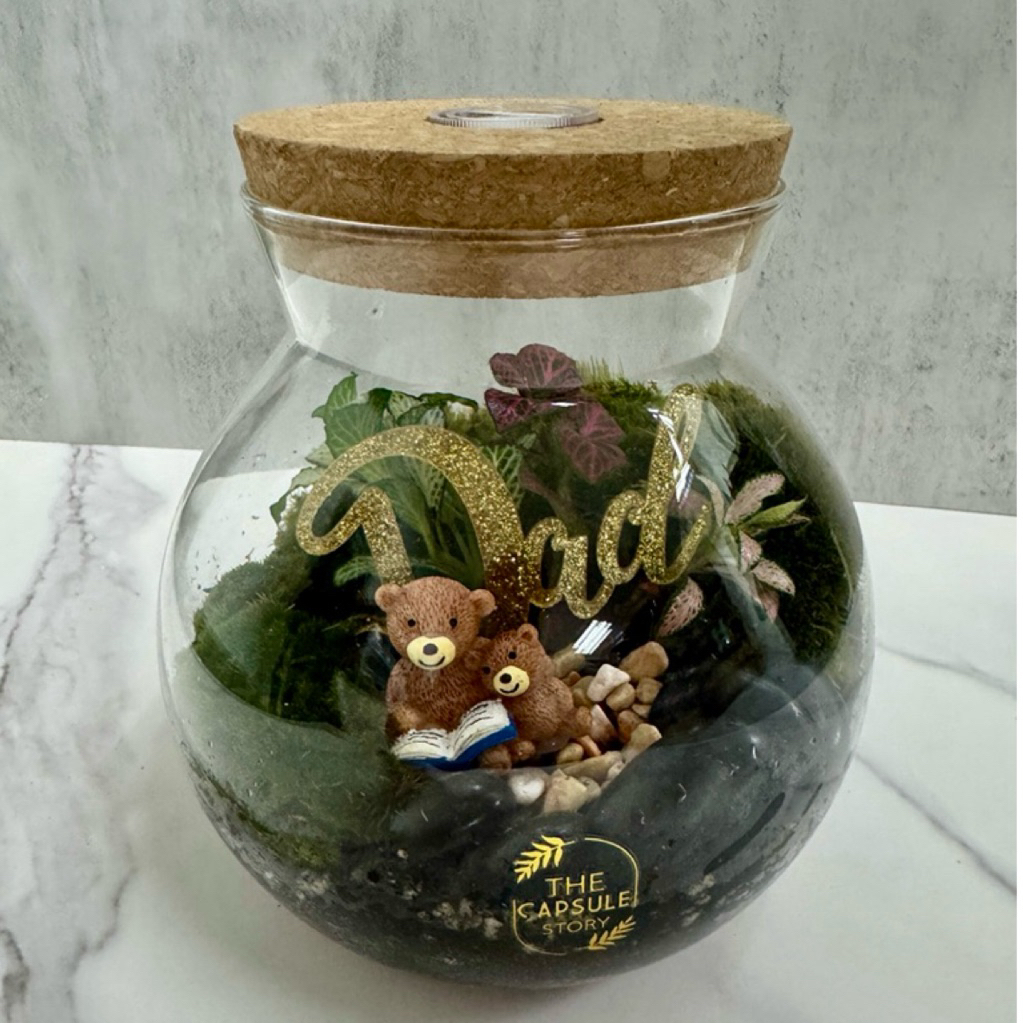 SG Instock Live Moss Terrarium Father’s Day 15cm Diameter glass bottle ...