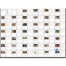 [NEW 2025 FORMAT] 40 Topics PSLE English Oral Stimulus-based ...