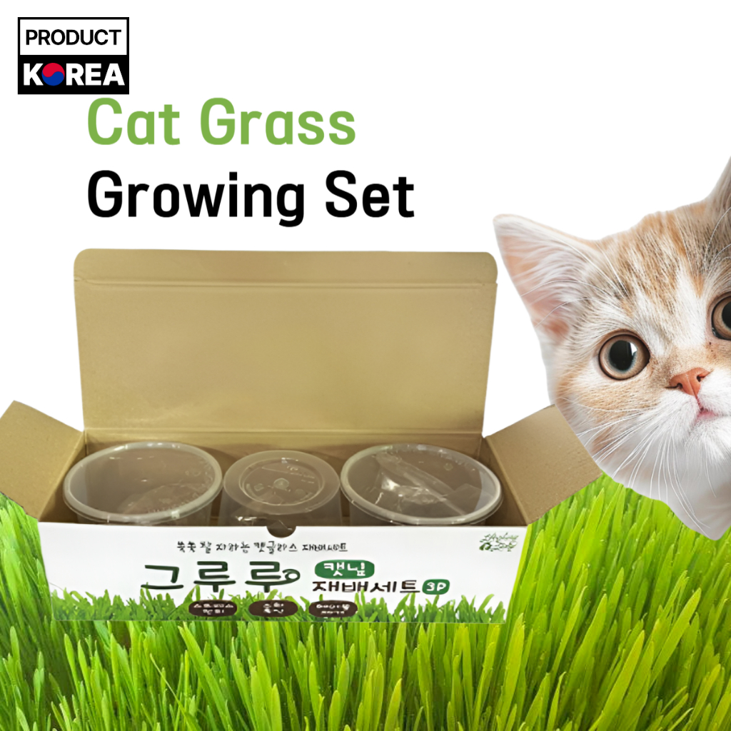 Cat Grass Growing Kit | Oat, Barley, Catnip | Natural Cat Snack ...