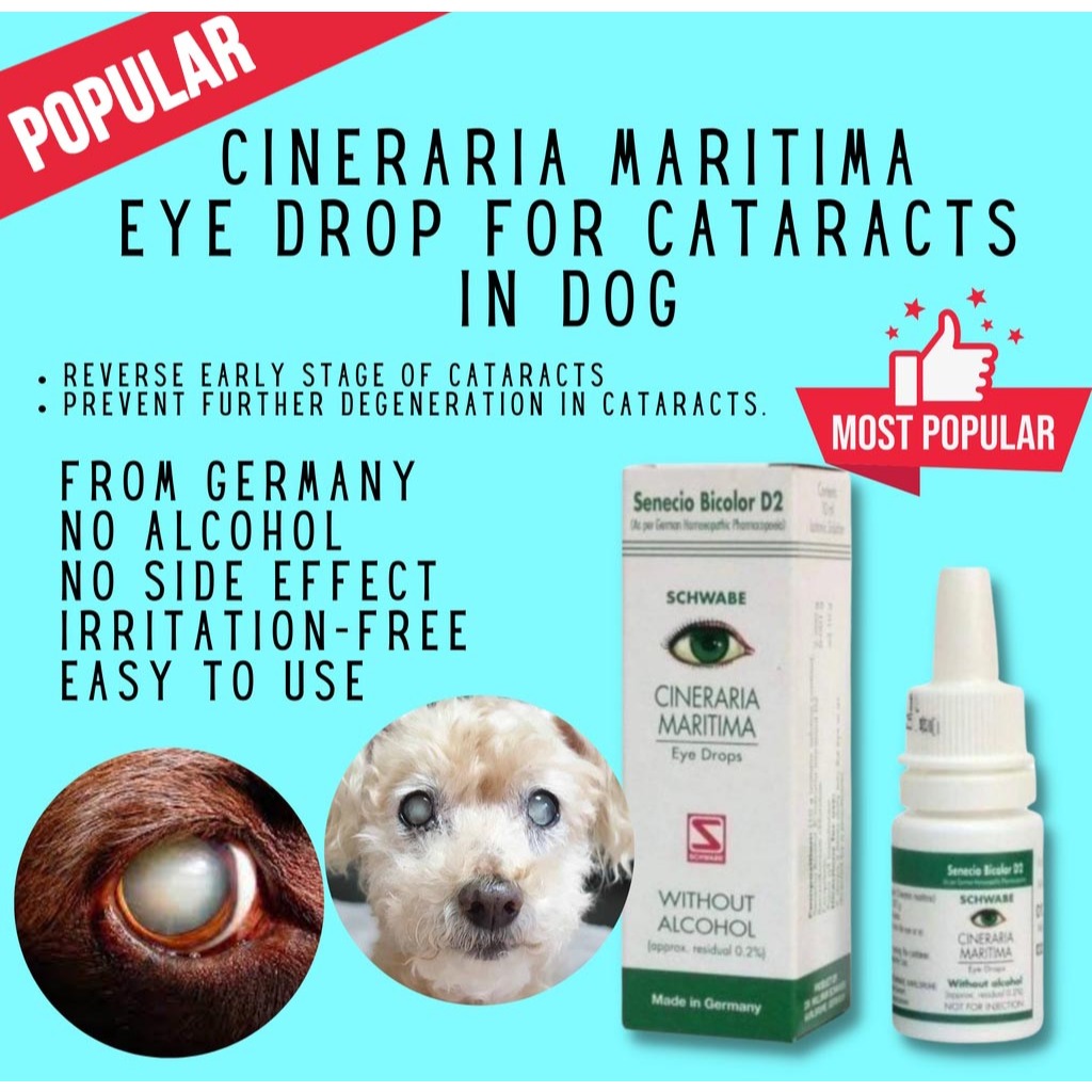 Pet Eye Drops for Cataract 10ml | Dog Cat Eye Care | Cineraria Maritima ...