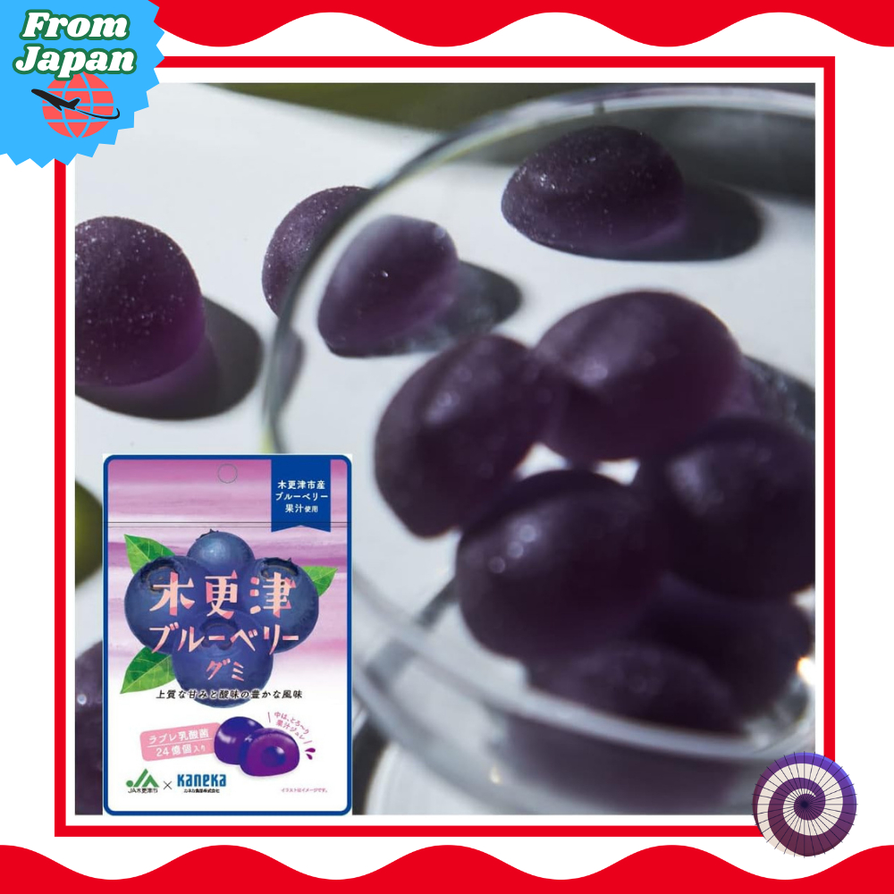 Kaneka Foods Kisarazu Blueberry Gummi Fruit Juice Gummy with ...