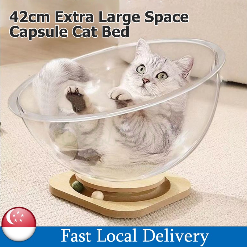 2 in1 Acrylic Cat Bed Cat Space Capsule Turntable Toy Cat Nest Funny ...
