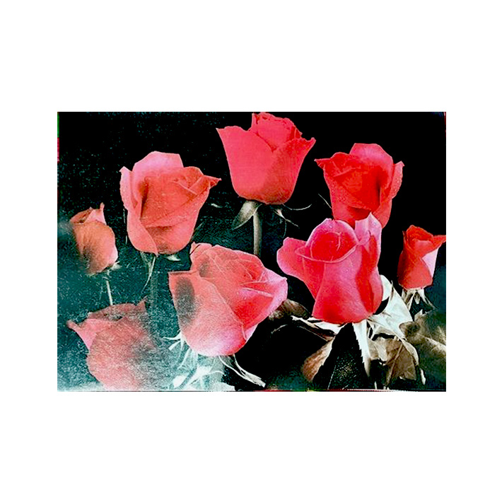 GELAREH Poster - Roses -Size:+/-47X67cm | Shopee Singapore