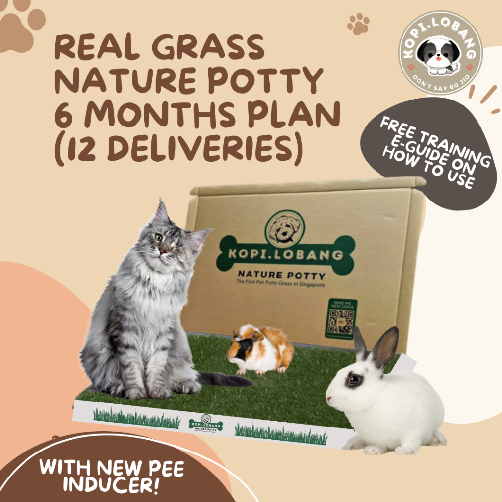 [SG] 6 MONTHS (12 DELIVERIES) REAL GRASS NATURE POTTY ★ The 1st Pet ...