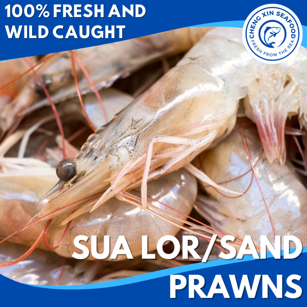 [Cheng Xin Seafood] Sand Prawns/Sua Lor 沙卢 (500g) | Shopee Singapore