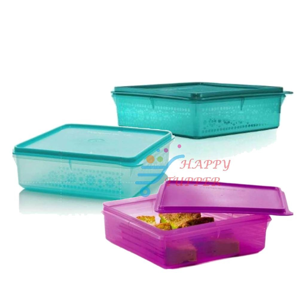 Tupperware B2B Snack Stor 2.9L (Tupperware Snack Stor) | Shopee Singapore