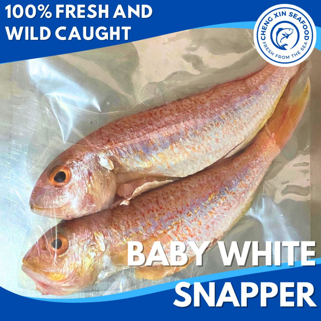 [Cheng Xin Seafood] Baby White Snapper Threadfin Bream /Ang Go Li Kia ...