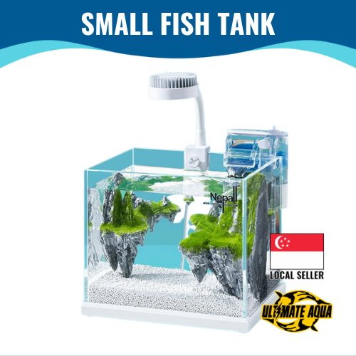 Nepal Sky City Small Fish Tank, Mini Betta Tank, Ecological Micro ...