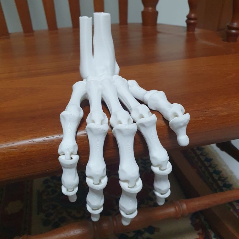 Skeleton Hand Articulated Cute Toy | 3D Printed | Shopee Singapore